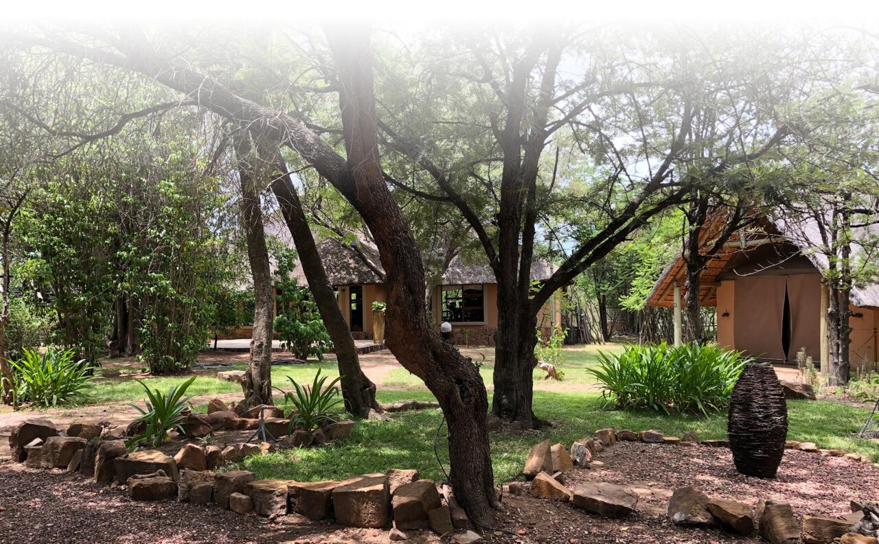 Rhino Bush Camp - Bushwa Game Reserve