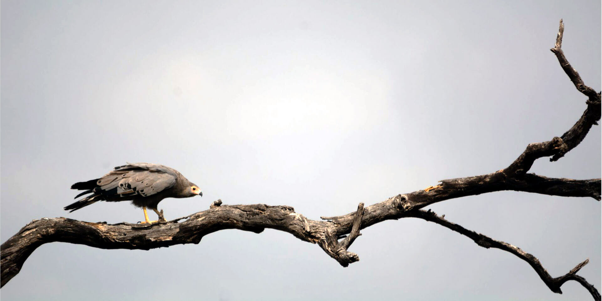 General Information - Bushwa Game Reserve
